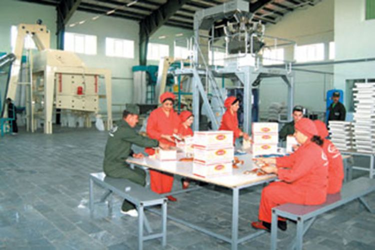 Muxtar respublikada özəl sektorun inkişafı sosial rifah halının ...